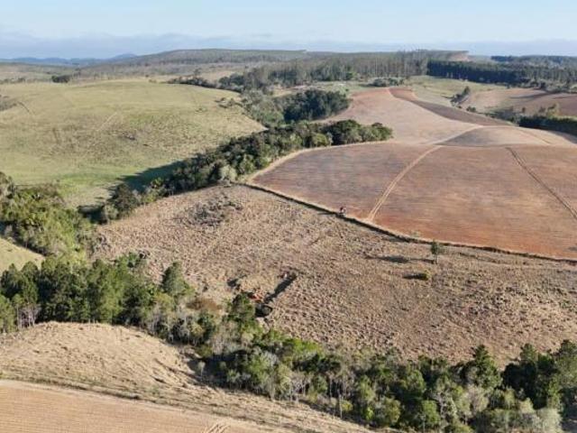 Sítio/Fazenda à Venda, 50 alqueires por R$ 12.000.000 Cód. ch2464