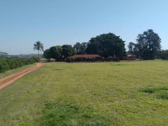 Sitio/Fazenda à Venda, 77,5 Alqueires por R$ 14.500.000 Cód. ch2703