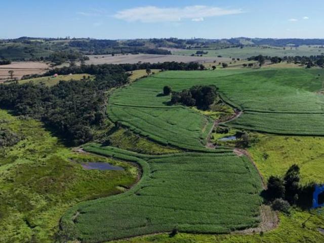 Sitio/Fazenda à Venda, 9,2 Alqueires por R$ 2.300.000 Cód. ch2713
