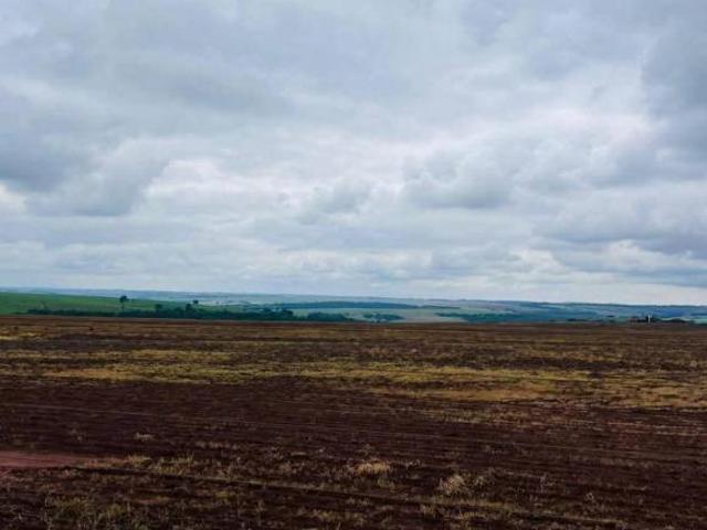 Sitio/Fazenda à Venda, 115 alqueires por R$ 31.050.000 Cód. ch2409