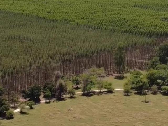 Sítio/Fazenda à Venda, 148 alqueires por R$ 35.000.000 Cód. ch2530