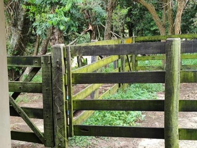 Sítio/Fazenda à Venda, 15,5 alqueires por R$ 3.000.000 Cód. ch2543