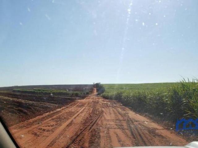Sítio/Fazenda à Venda, 1.241,51 alqueires por R$ 225.000.000 Cód. ch2767