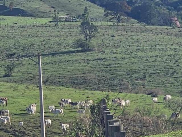 Sítio/Fazenda à Venda, 20 alqueires por R$ 3.200.000 Cód. ch2513