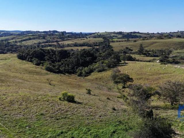 Sítio/Fazenda à Venda, 22,37 alqueires por R$ 3.355.500 Cód. ch2764