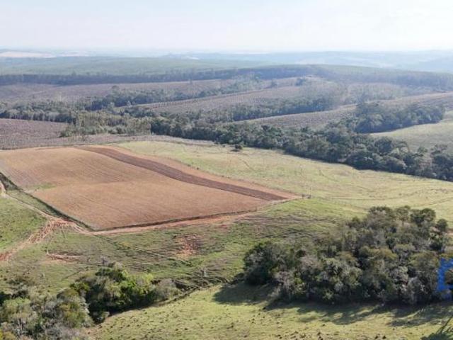 Sítio/Fazenda à Venda, 24,72 alqueires por R$ 4.200.000 Cód. ch2459