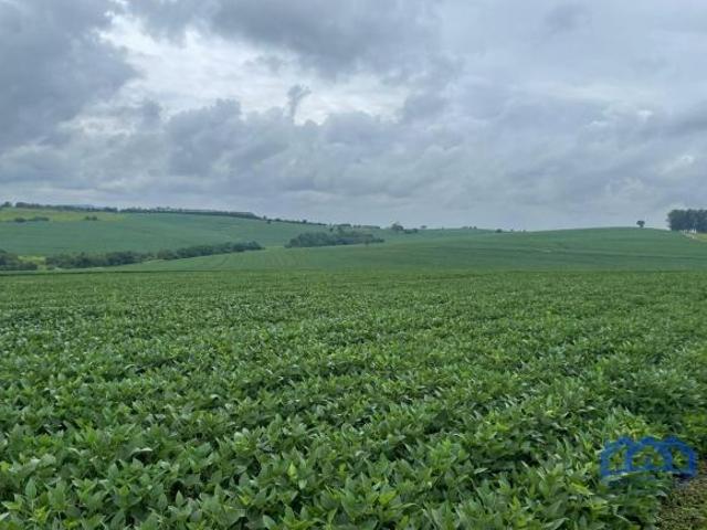 Sítio/Fazenda à Venda, 287 alqueires por R$ 71.150.000 Cód. ch2166