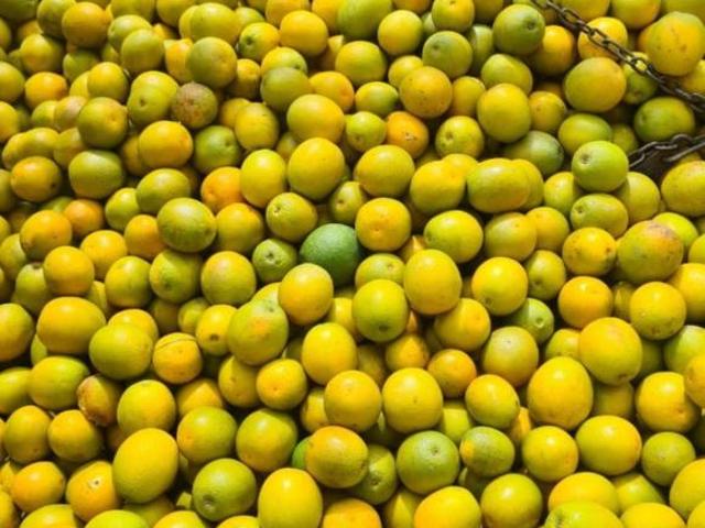 Sítio/Fazenda à Venda, 350 alqueires por R$ 275.000.000 Cód. ch1961