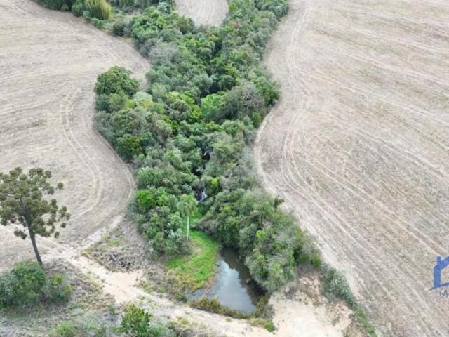 Sítio/Fazenda à Venda, 38,86 alqueires por R$ 10.000.000 Cód. ch2514