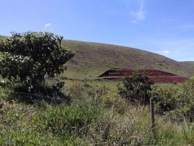 Sito 56 hectares em são Jose dos campos SP.produzindo leite