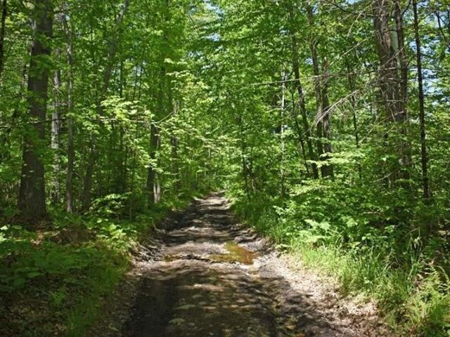 Sixth Range Rd, Pembroke, Plot For Sale