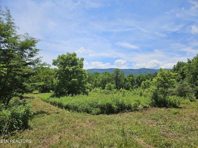 Six Mile Rd, Maryville, TN 37803