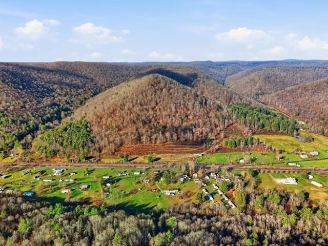 Sizer Run Rd, Emporium, Plot For Sale