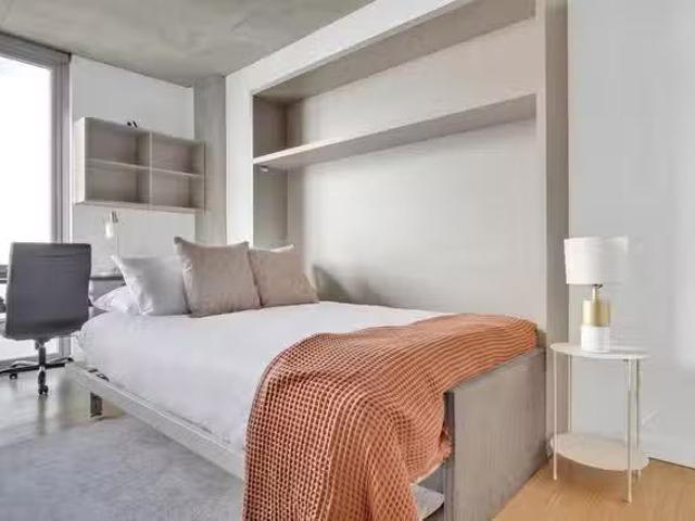 So Nu Digs, 1515 N Fremont St, Goose Island Studio 1 Bath