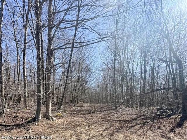 Somerset Dr # 30, Tobyhanna, PA 18466