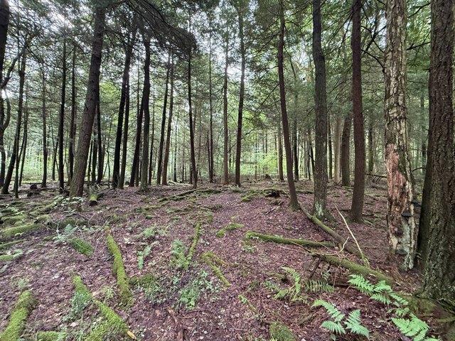 Songer Rd, Sigel, PA 15860