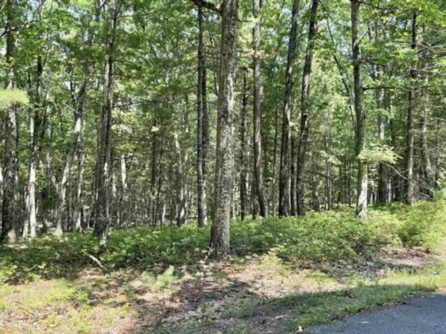 Soose Way Lot 45, Tafton, PA 18464