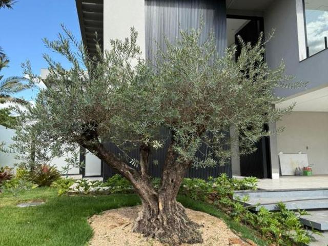 Sobrado à Venda Condomínio Jardins Lisboa | Goiânia GO