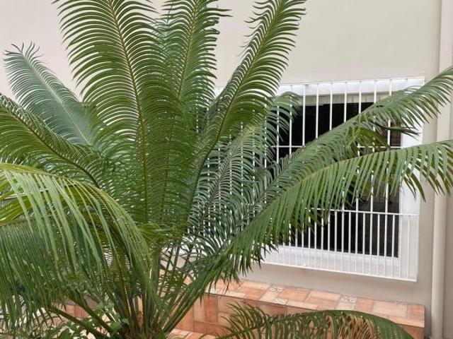 Sobrado à venda e para locação, com 2 dormitórios, 5 banheiros. Em excelente localização Cambuci, S