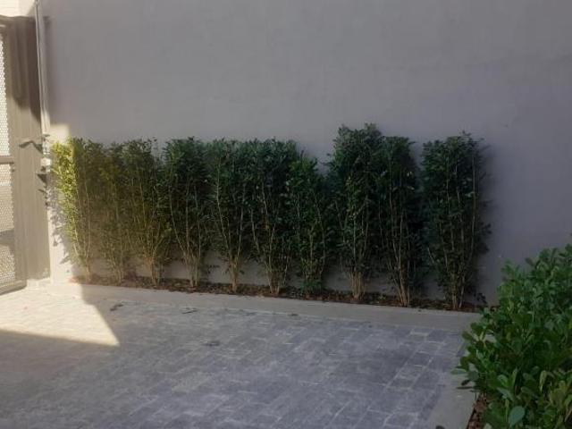 Sobrado à venda, Jardim da Glória, São Paulo, SP