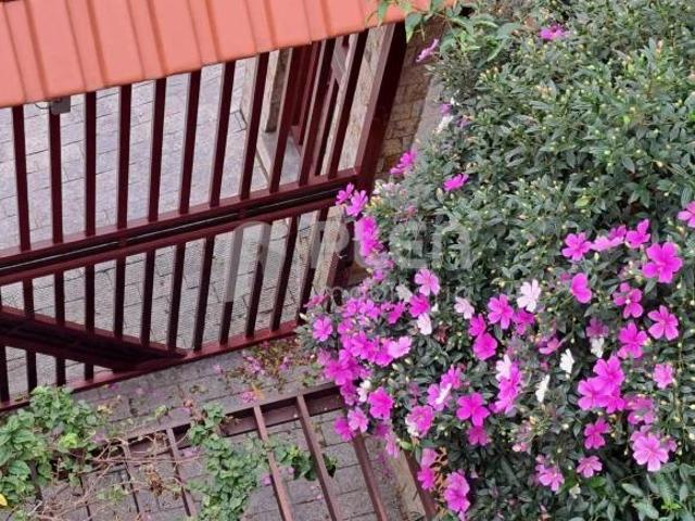 Sobrado à venda, Jardim São Paulo Zona Norte, São Paulo, SP