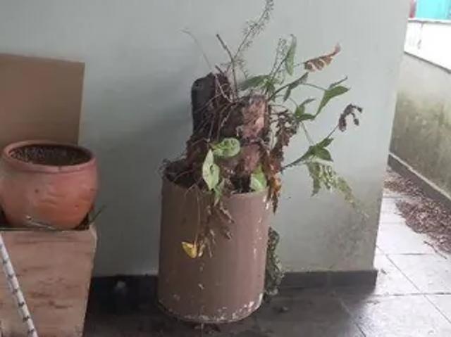 Sobrado com 4 dormitórios, 1 SUÍTE, à venda, 246 m² por R$ 1.600.000 Rolinópolis São Paulo/SP