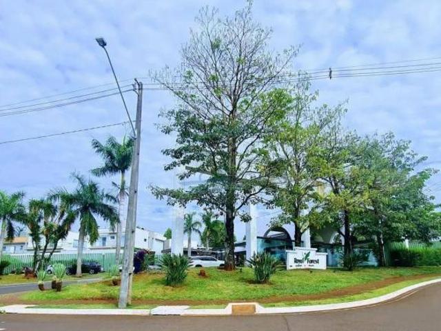 Sobrado com 4 dormitórios à venda, 324 m² por R$ 3.600.000,00 Esperança Londrina/PR