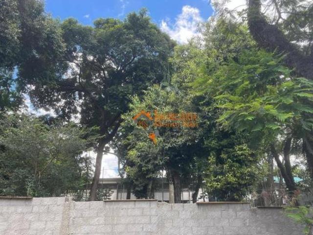 Sobrado com 6 dormitórios à venda, 372 m² por R$ 1.550.000,00 Vila Rosália Guarulhos/SP