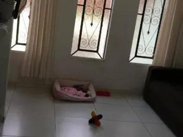 Sobrado com 2 dormitórios à venda, 140 m² por R$ 430.000,00 Vila Tibiriçá Santo André/SP