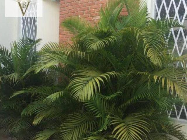Sobrado com 3 dormitórios à venda, 234 m² por R$ 2.100.000,00 Aclimação São Paulo/SP