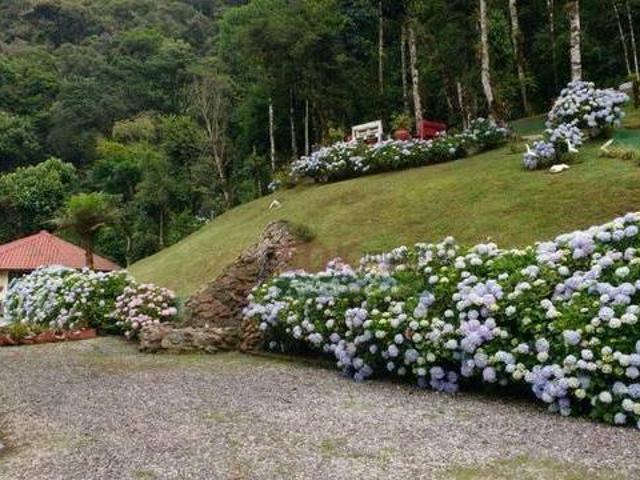 Sobrado com 3 dormitórios à venda, 230 m² por R$ 950.000,00 Santo Antônio Do Pinhal Santo Antôni