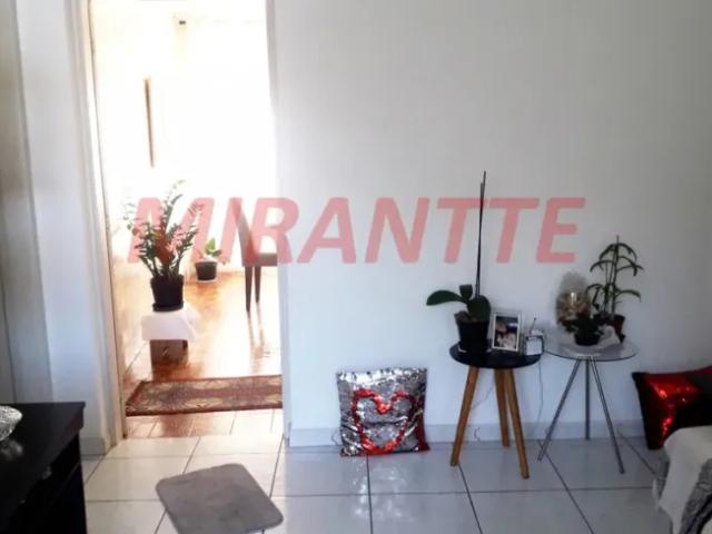 Sobrado de 250m² com 8 quartos em Vila Amelia