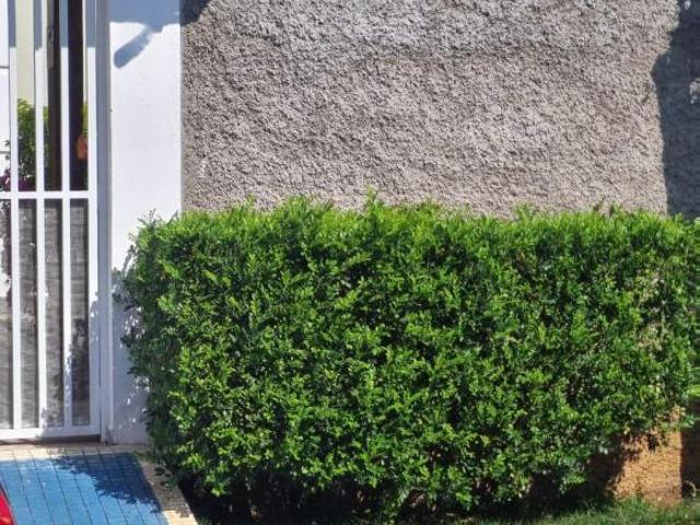 Sobrado em Vila Arriete, São Paulo/SP de 63m² 2 quartos à venda por R$ 550.000,00