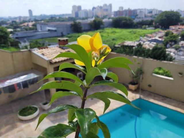 Sobrado para venda com 4 quartos, sendo 2 suítes, 506m²