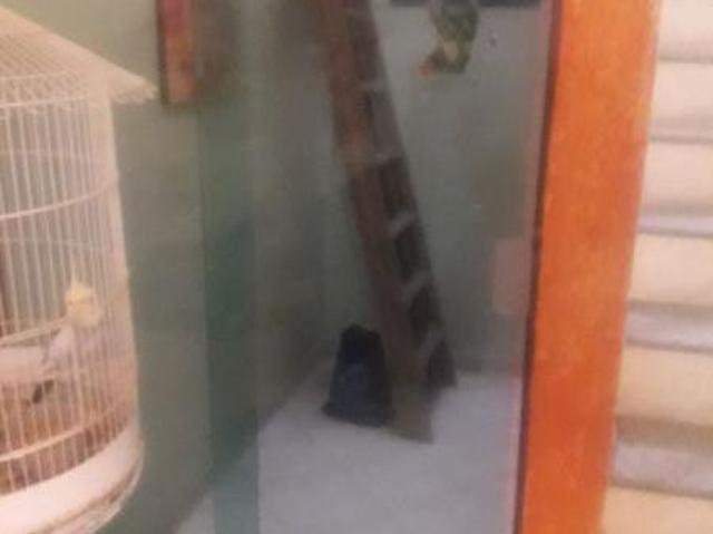 Sobrado para Venda em São Bernardo do Campo, santa terezinha, 3 dormitórios, 1 suíte, 2 banheiros, 2