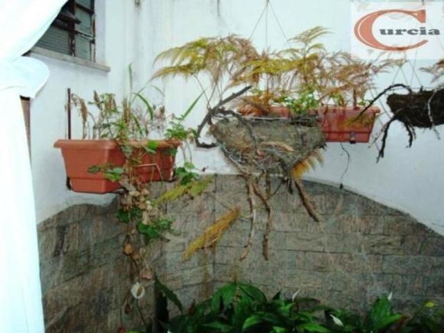 Sobrado residencial à venda, Conceição, São Paulo SO0139