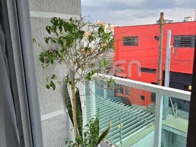 Sobrado 3 dormitórios à venda, Vila Gustavo, São Paulo, SP