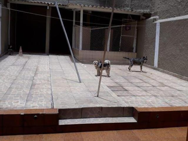 Sobrado 3 dorms. Vila Augusta