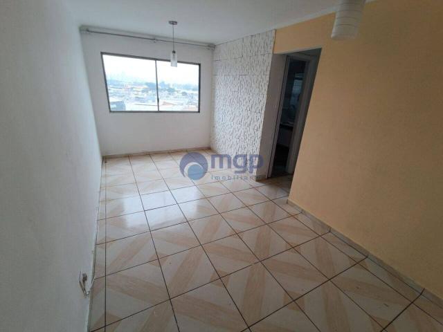 Sobre apartamento com 50 m² em São Paulo SP