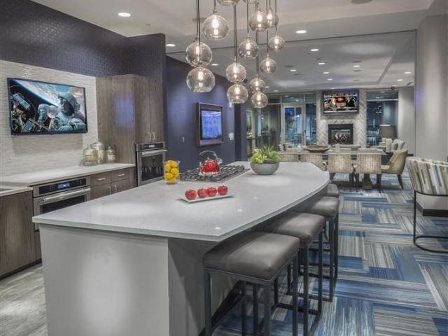 SoDo Main South Tower 1 Bedroom Apartment for Rent at 1725 Main St, Houston, TX 77002 Downtown Houston