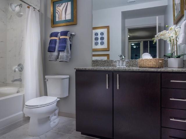 SoDo Houston North Tower 3 Bedroom Apartment for Rent at 1625 Main St, Houston, TX 77002 Downtown Houston