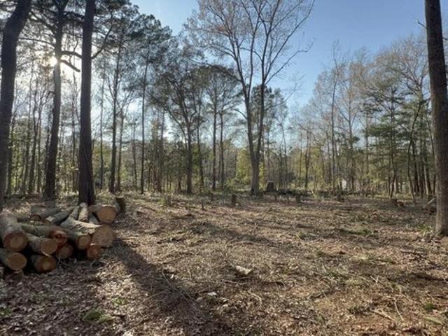 Sol Farm Rd, Johns Island, SC 29455