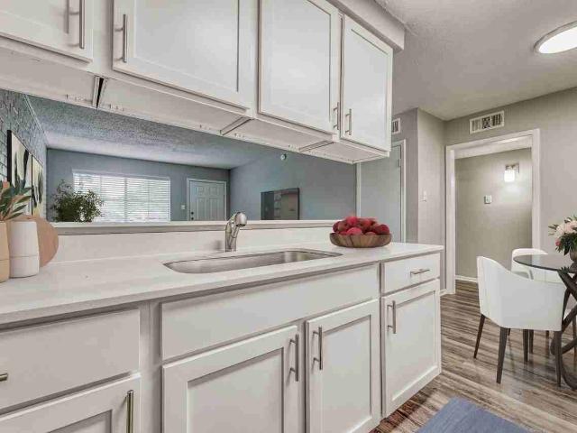 Solana 2 Bedroom Apartment for Rent at 3100 W Walnut St, Garland, TX 75042