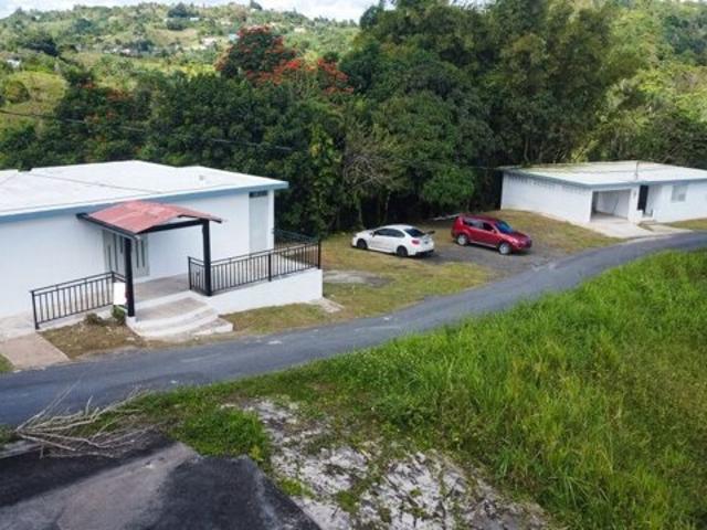 Solar Bo Juan Asencio Carr Km #,aguas Buenas, Home For Sale
