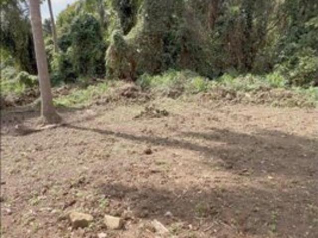 Solar Bo Mariana Lot,naguabo, Plot For Sale