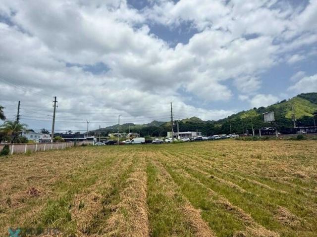 Solar Cuerdas #,anasco, Plot For Sale