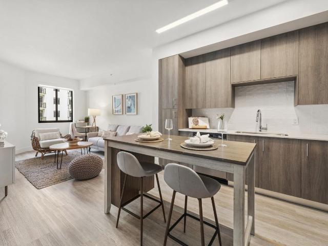 SoLe Mia Rentals 1 Bedroom Apartment for Rent at 2321 Laguna Cir, North Miami, FL 33181 Biscayne Landing