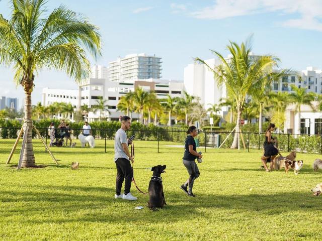 SoLe Mia Rentals 2 Bedroom Apartment for Rent at 2321 Laguna Cir, North Miami, FL 33181 Biscayne Landing
