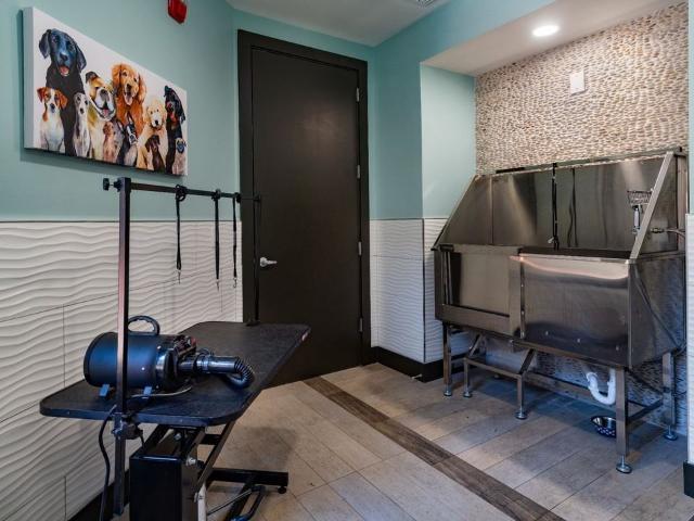 Sole on Central 1 Bedroom Apartment for Rent at 1560 Central Ave, St Petersburg, FL 33705