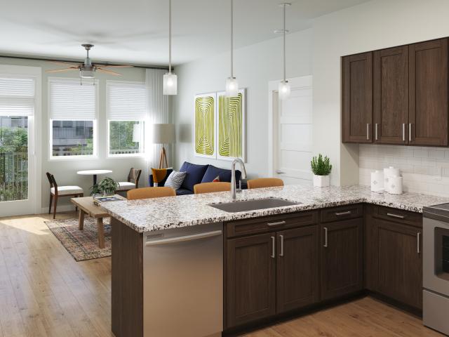 Solea Lewisville 55+ Active Adult